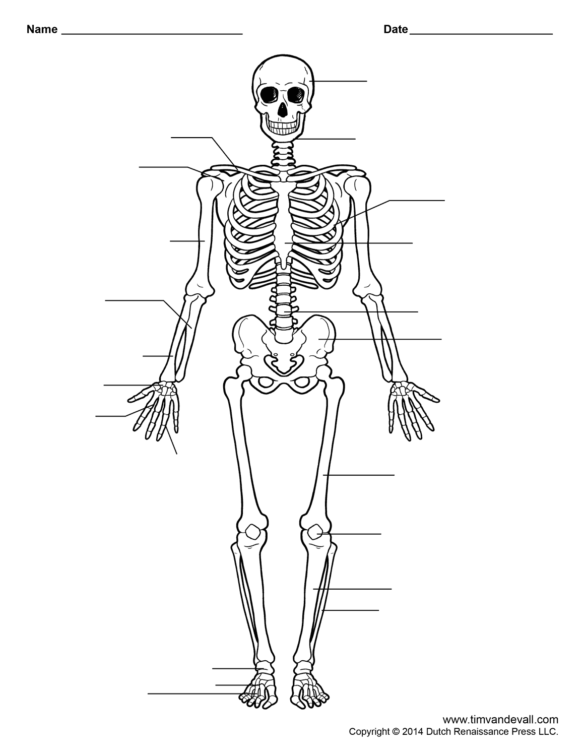 Free Printable Human Anatomy Worksheets Free Printable Free Printable Human Anatomy Worksheets Free Printable