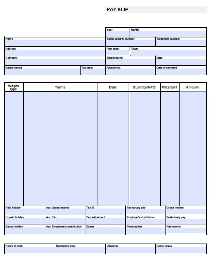 Printable Blank Pay Stubs