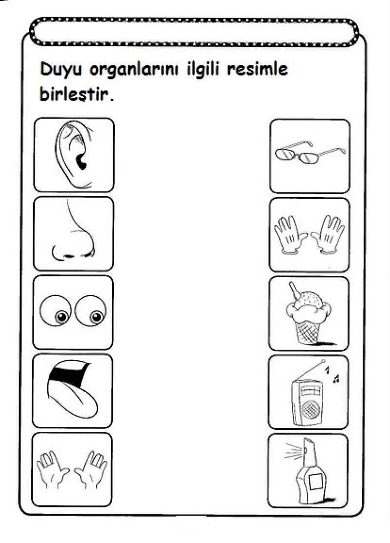 Free Printable Worksheets Kindergarten Five Senses Free Printable