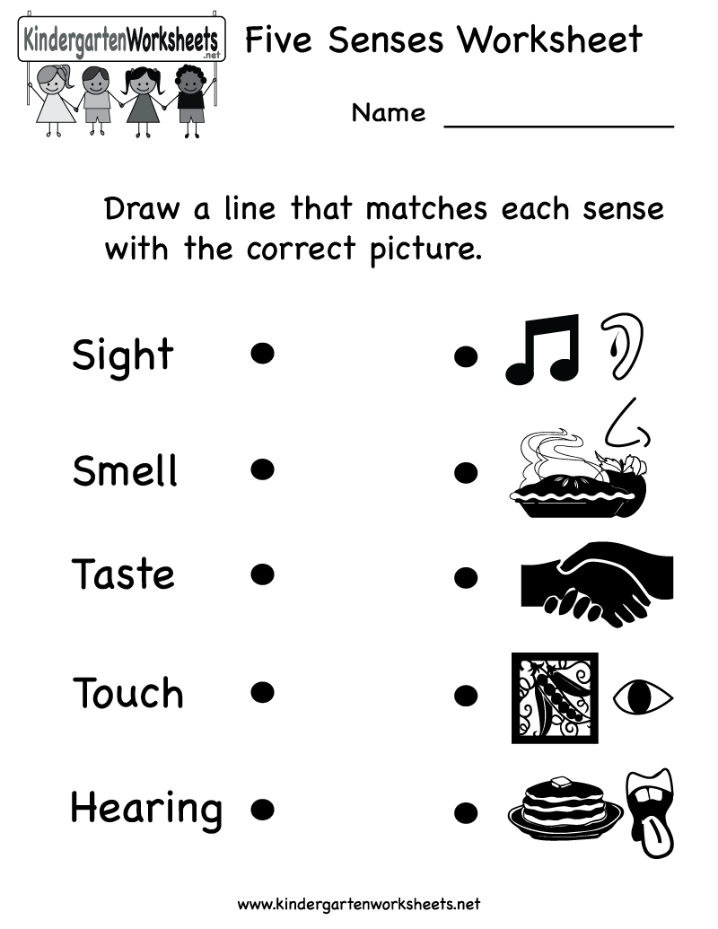 Free Printable Worksheets Kindergarten Five Senses Free Printable